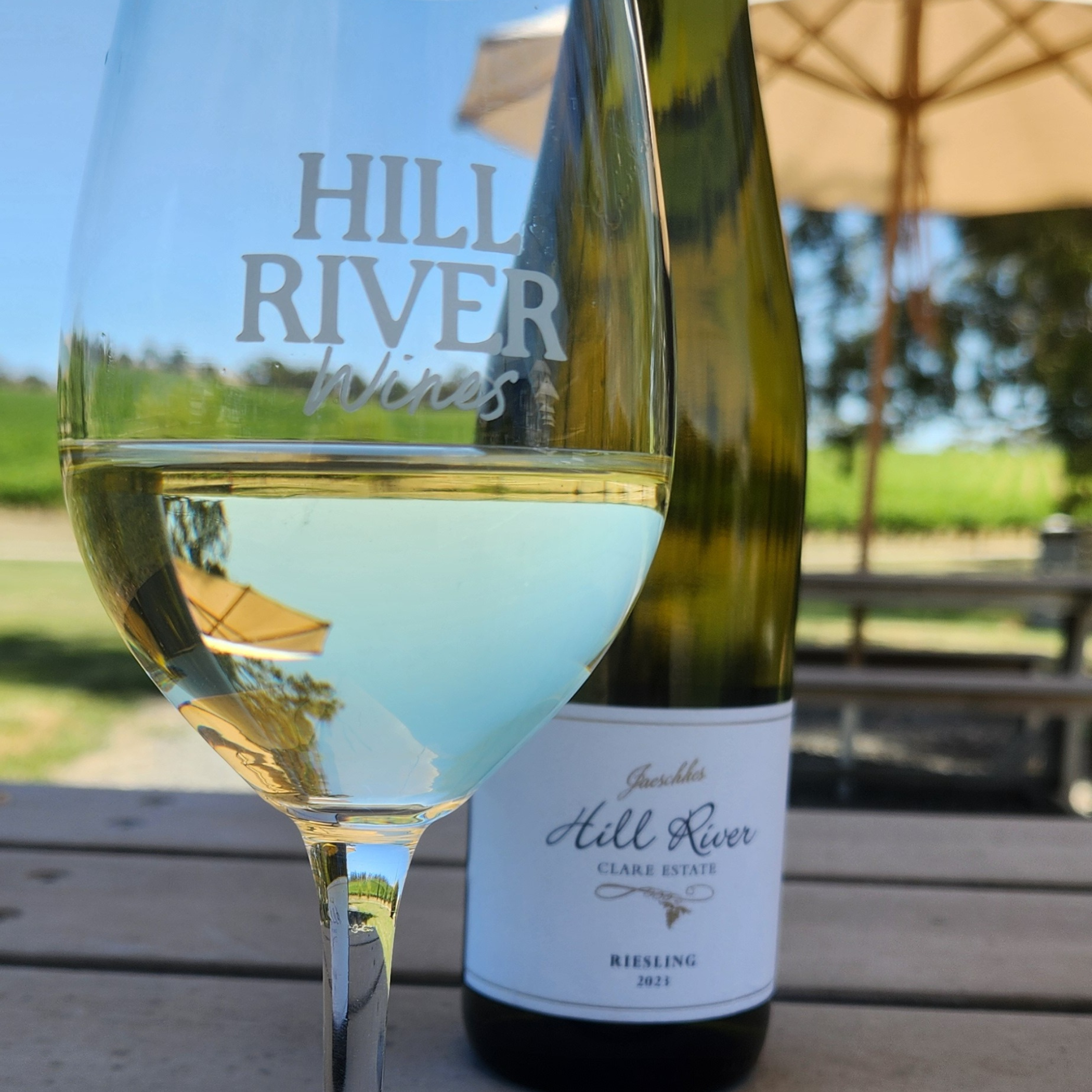 Riesling 2023 6 pack – Hill River Wines